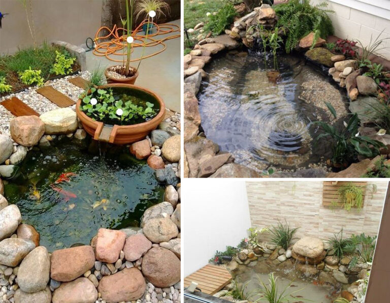 Como hacer un estanque para peces económico | Consejos e ideas para ahorrar